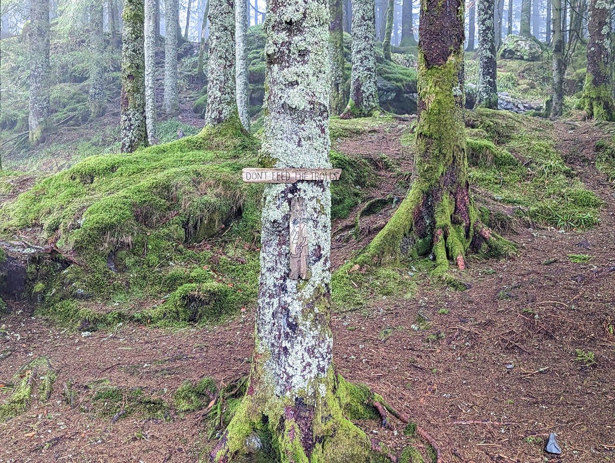 32 best things to do in Bergen in winter (2023/4 guide)