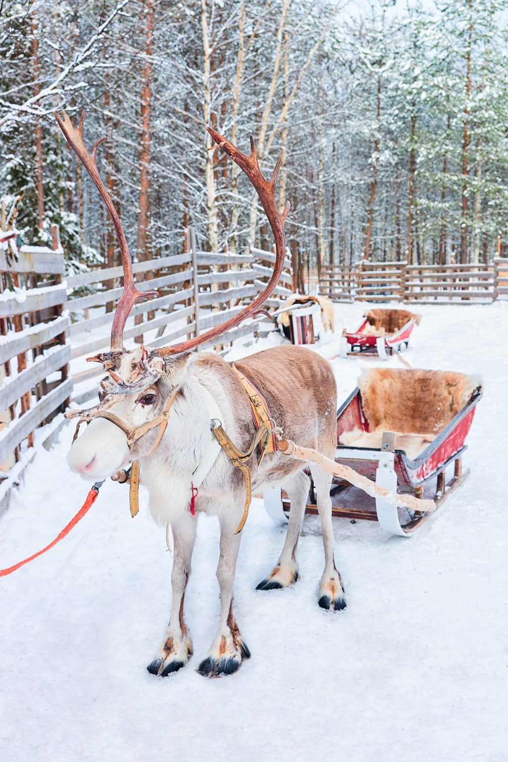 12 coldest places in Europe for winter breaks